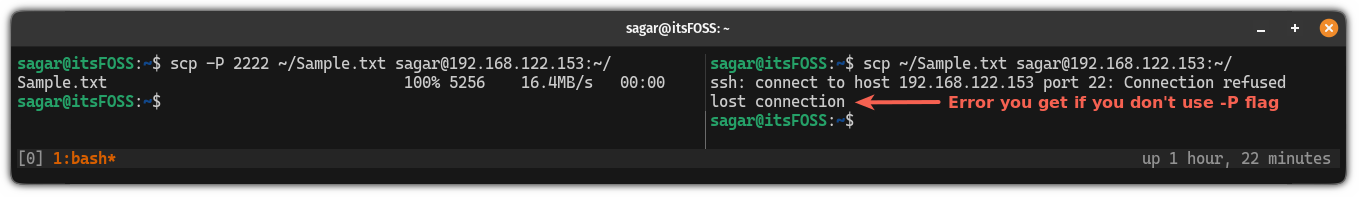 scp Command Examples – Australian Alumni